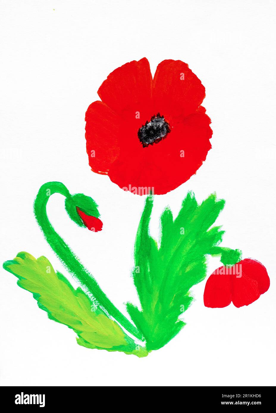 Watercolor poppies. Red poppies on a white background. Children's ...