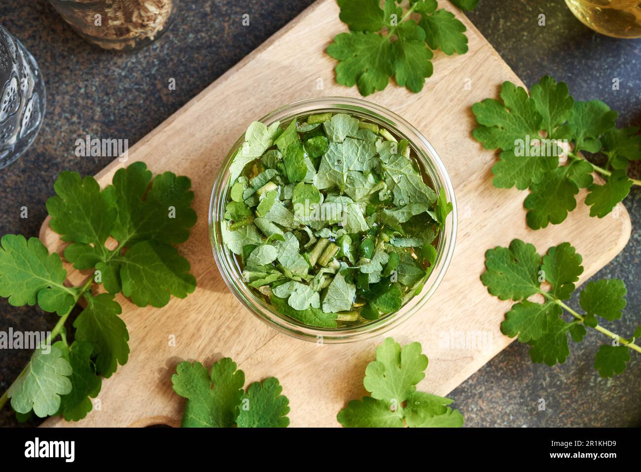 Preparation of herbal wine for the liver from greater celandine or ...