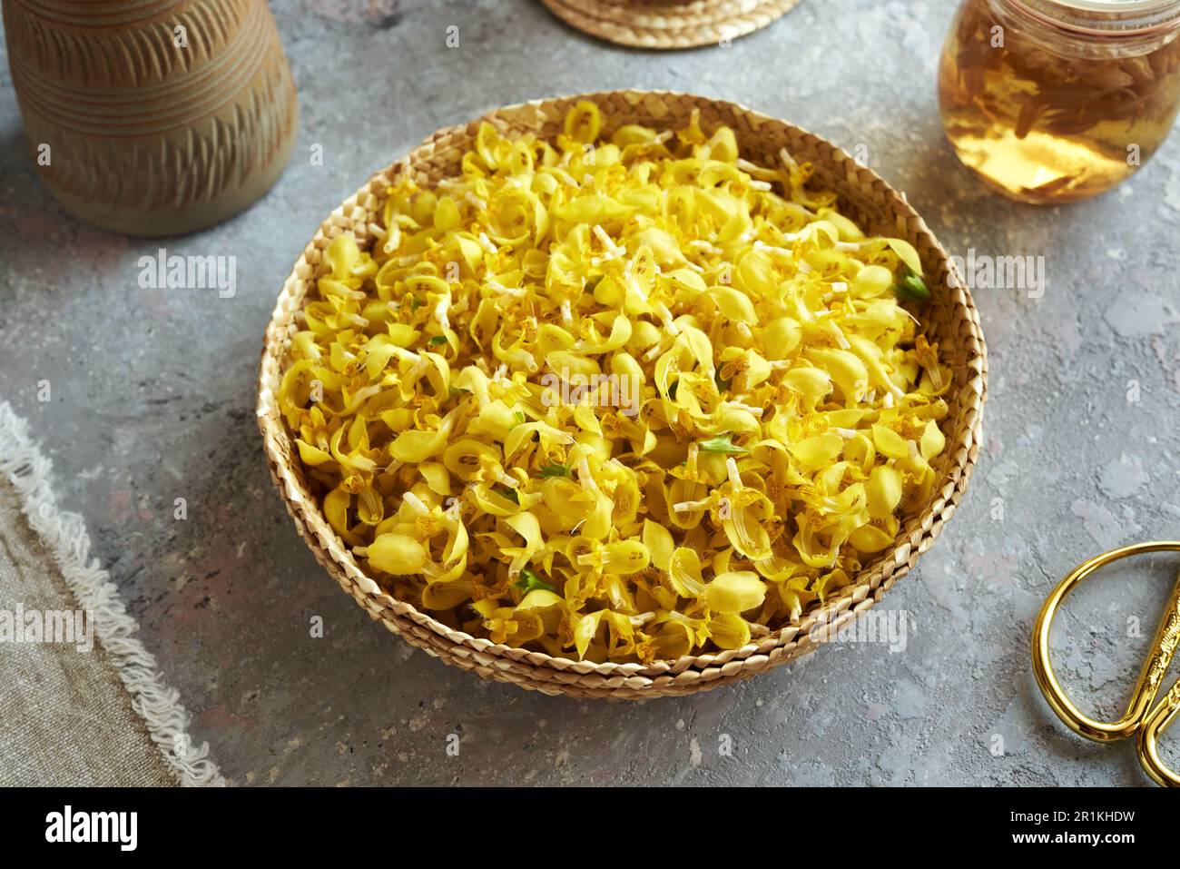 Yellow dead-nettle flowers collected in spring. Herbal medicine Stock ...