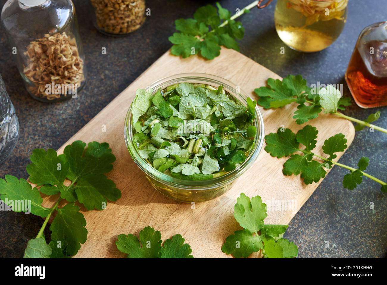 Preparation of medicinal wine for the liver from fresh greater ...