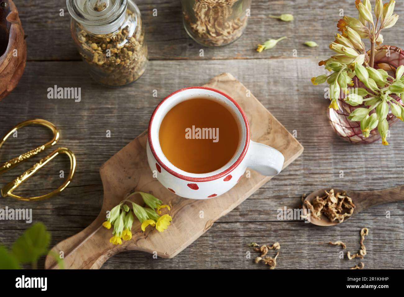 Water cowslip hi-res stock photography and images - Alamy