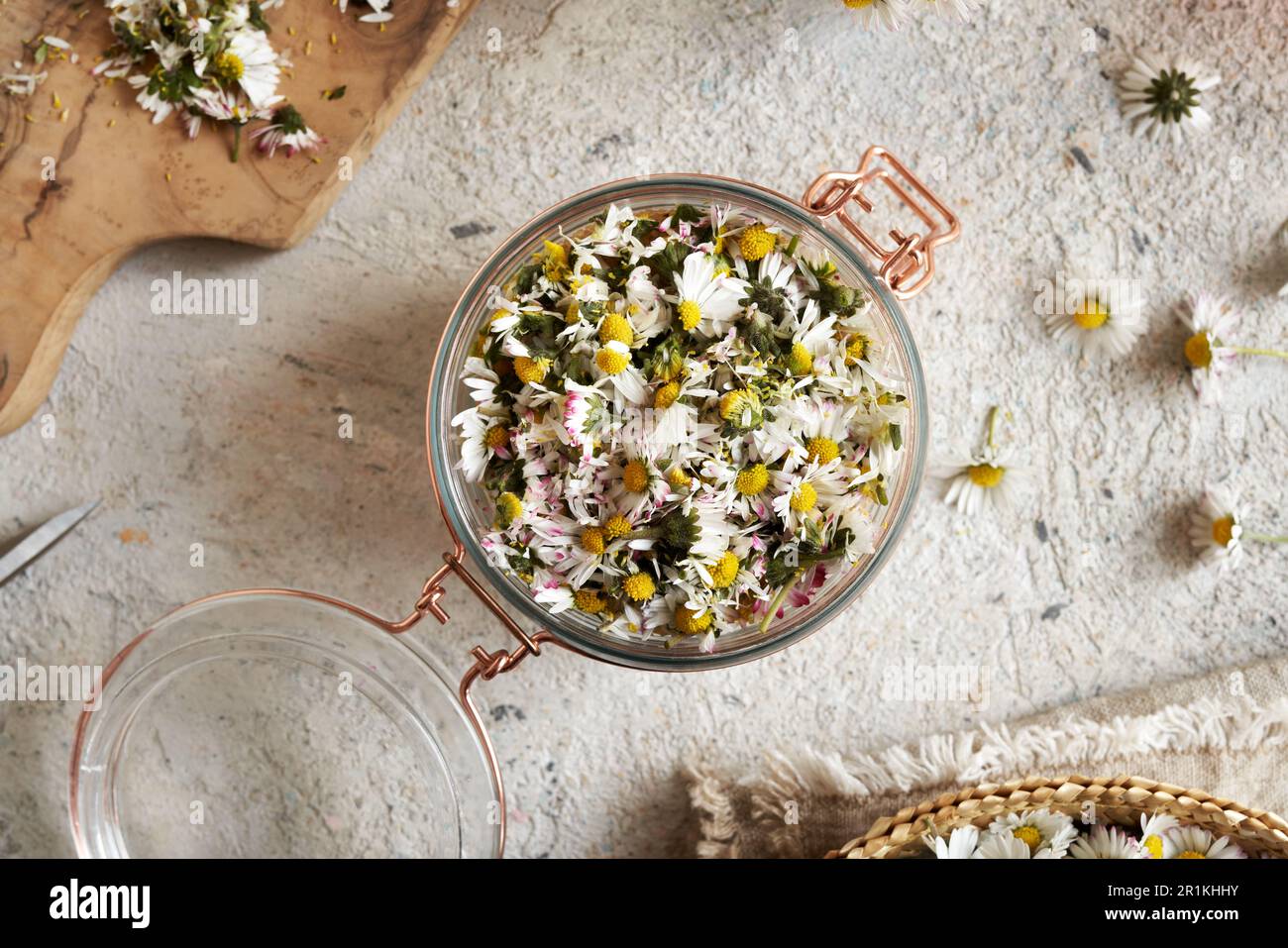 Praparation of herbal syrup against cough from fresh lawn daisy flowers ...