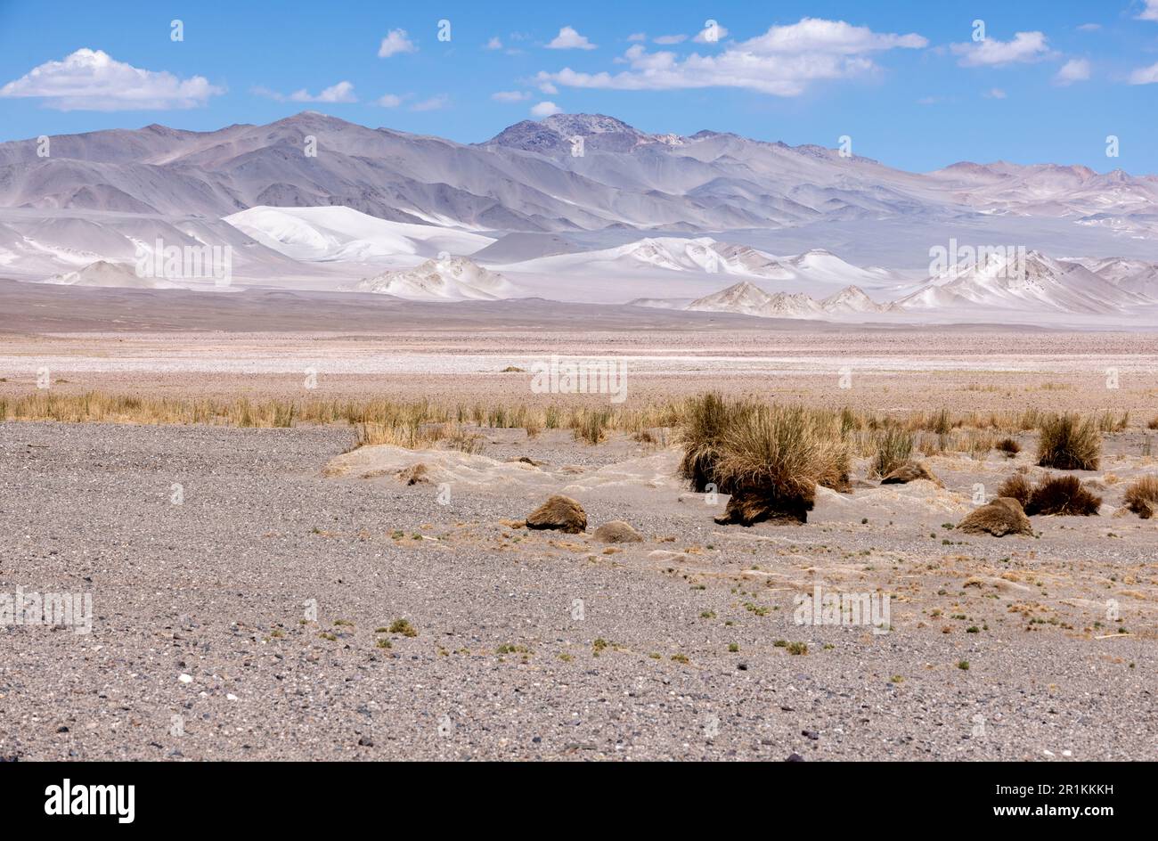 Puna - off road adventure through a bizarre but beautiful landscape ...