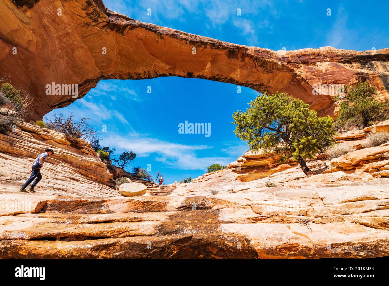 Hikers; natural freshwater spring flows under Owachomo Bridge; Natural ...