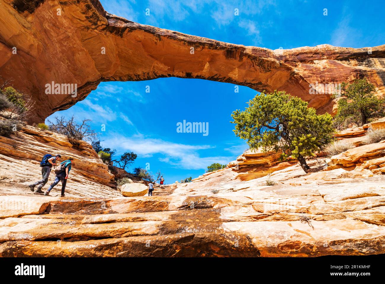 Hikers; natural freshwater spring flows under Owachomo Bridge; Natural ...