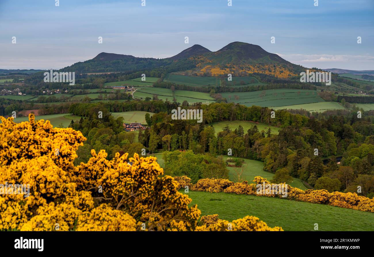 Sxcottish borders hi-res stock photography and images - Alamy