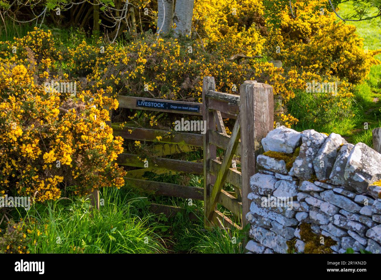 Scott's View, Scottish Borders, Scotland, UK. 14th May 2023. Weather ...