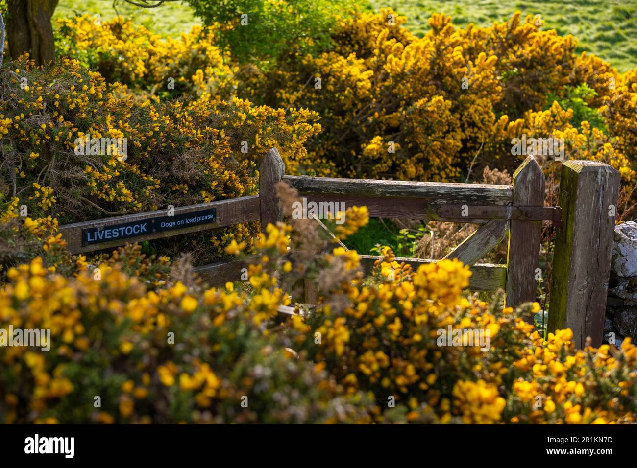 Scott's View, Scottish Borders, Scotland, UK. 14th May 2023. Weather ...