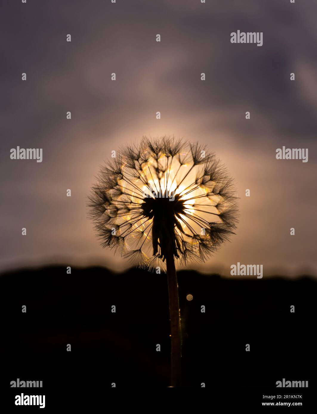 Mindfullness nature uk hi-res stock photography and images - Alamy