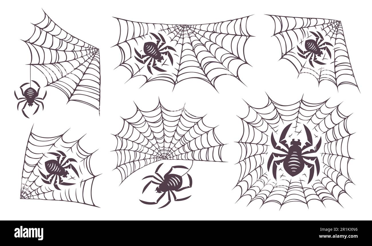 Spider and web set. Concept Halloween decoration design. Collection ...