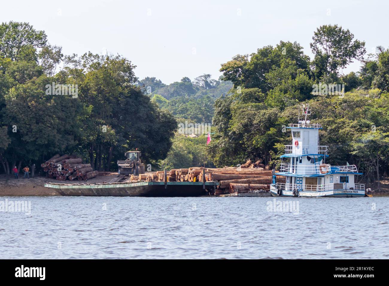 Rainforest timber transport brazil hi-res stock photography and images ...