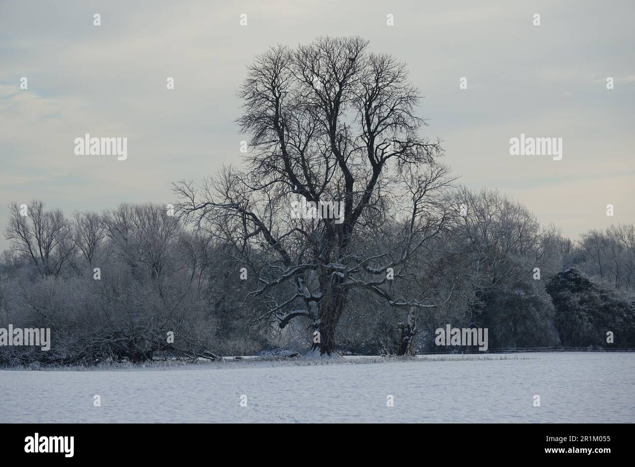 Winter snow scene December 2022 Cambridgeshire UK Stock Photo - Alamy