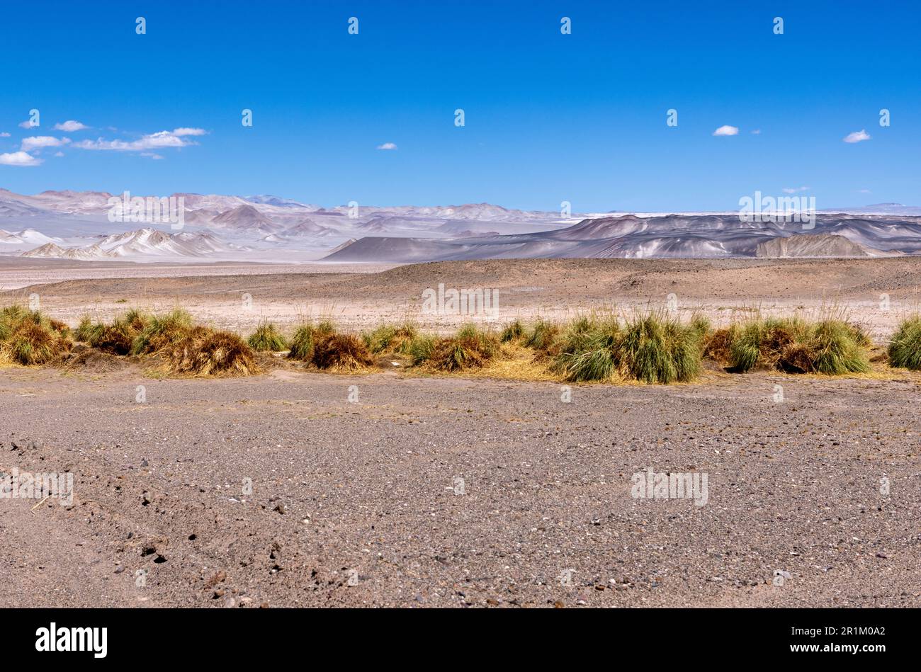 Puna - off road adventure through a bizarre but beautiful landscape ...