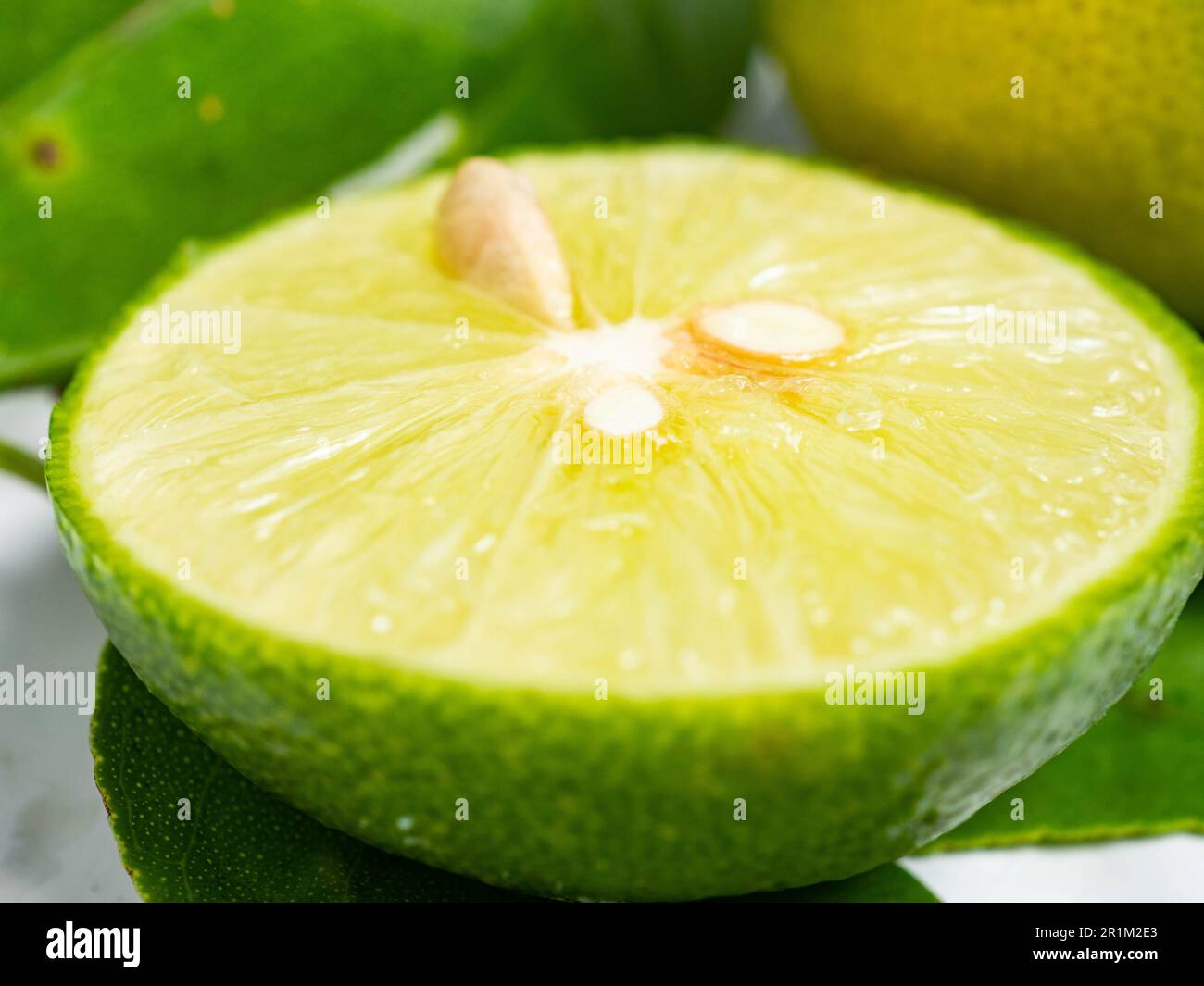 Picture of green citrus with leafs on a white isolated background Stock ...