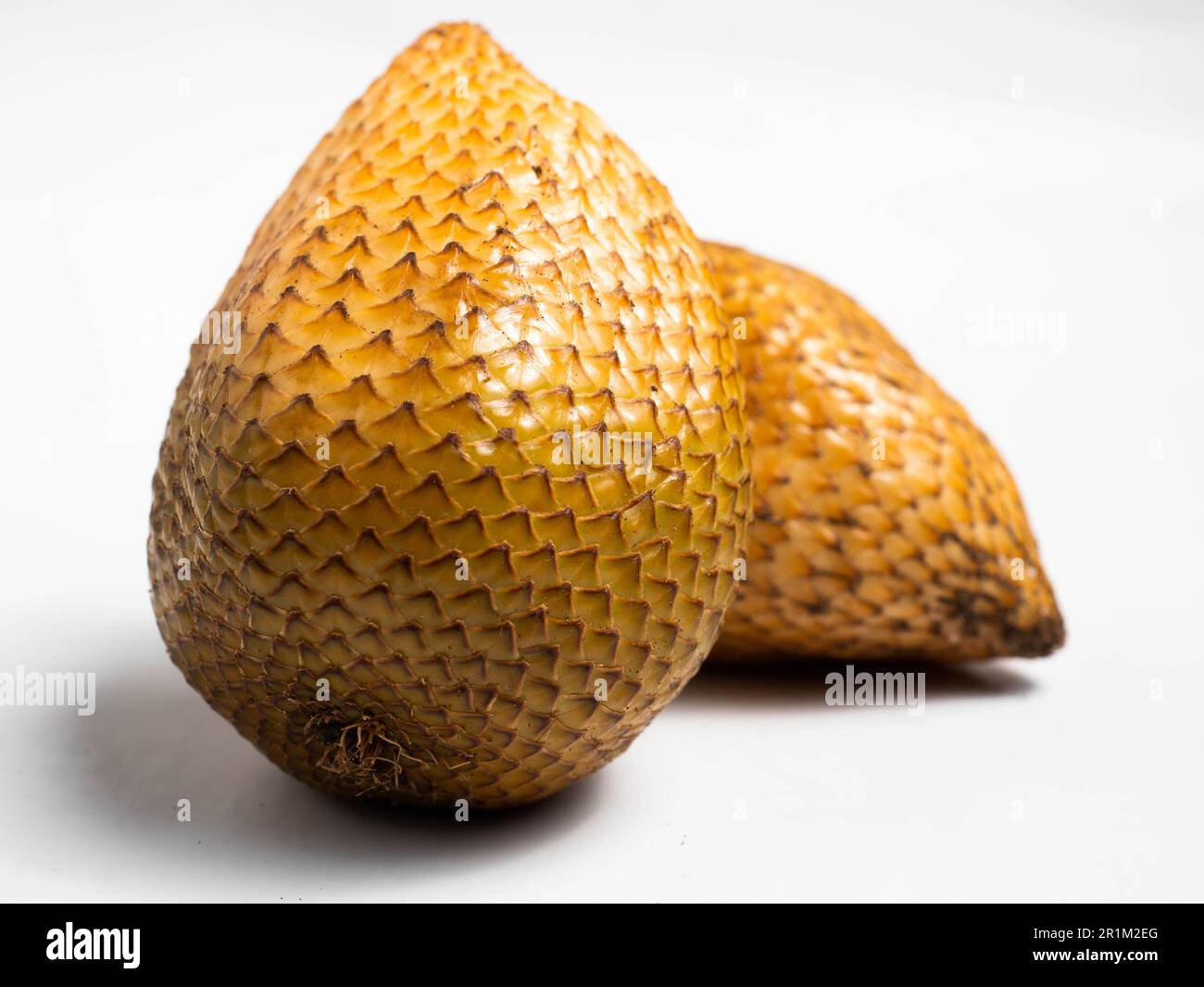 Picture of Salak (Salacca zalacca) is a species of palm tree (family ...