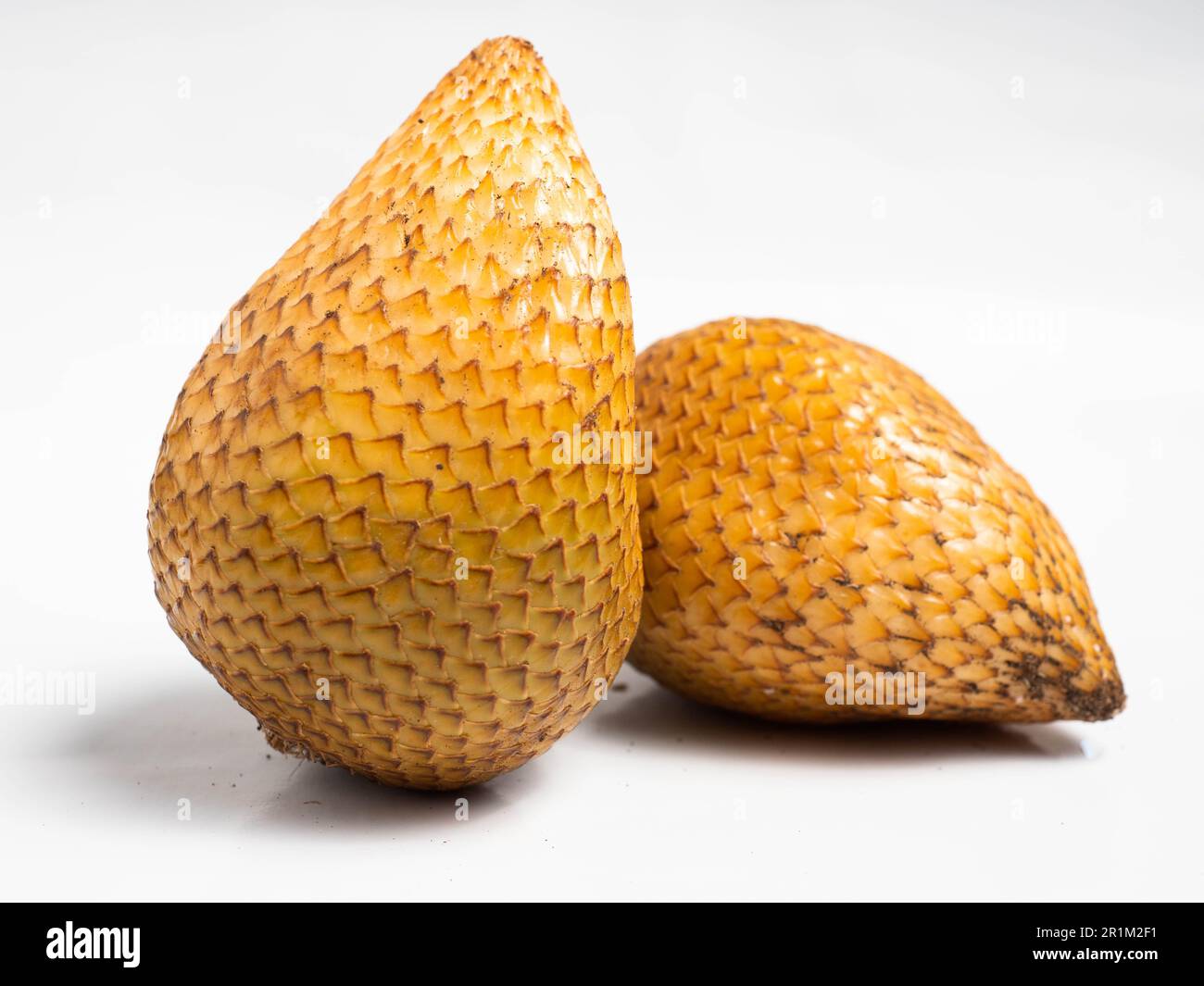 Picture of Salak (Salacca zalacca) is a species of palm tree (family ...