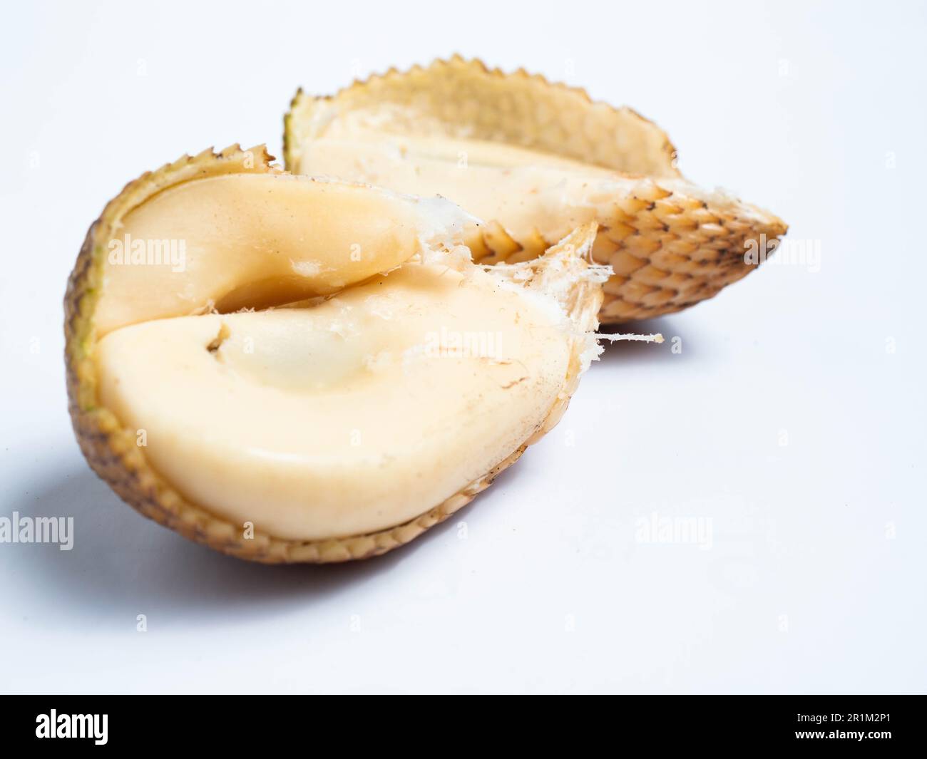 Picture of Salak (Salacca zalacca) is a species of palm tree (family ...