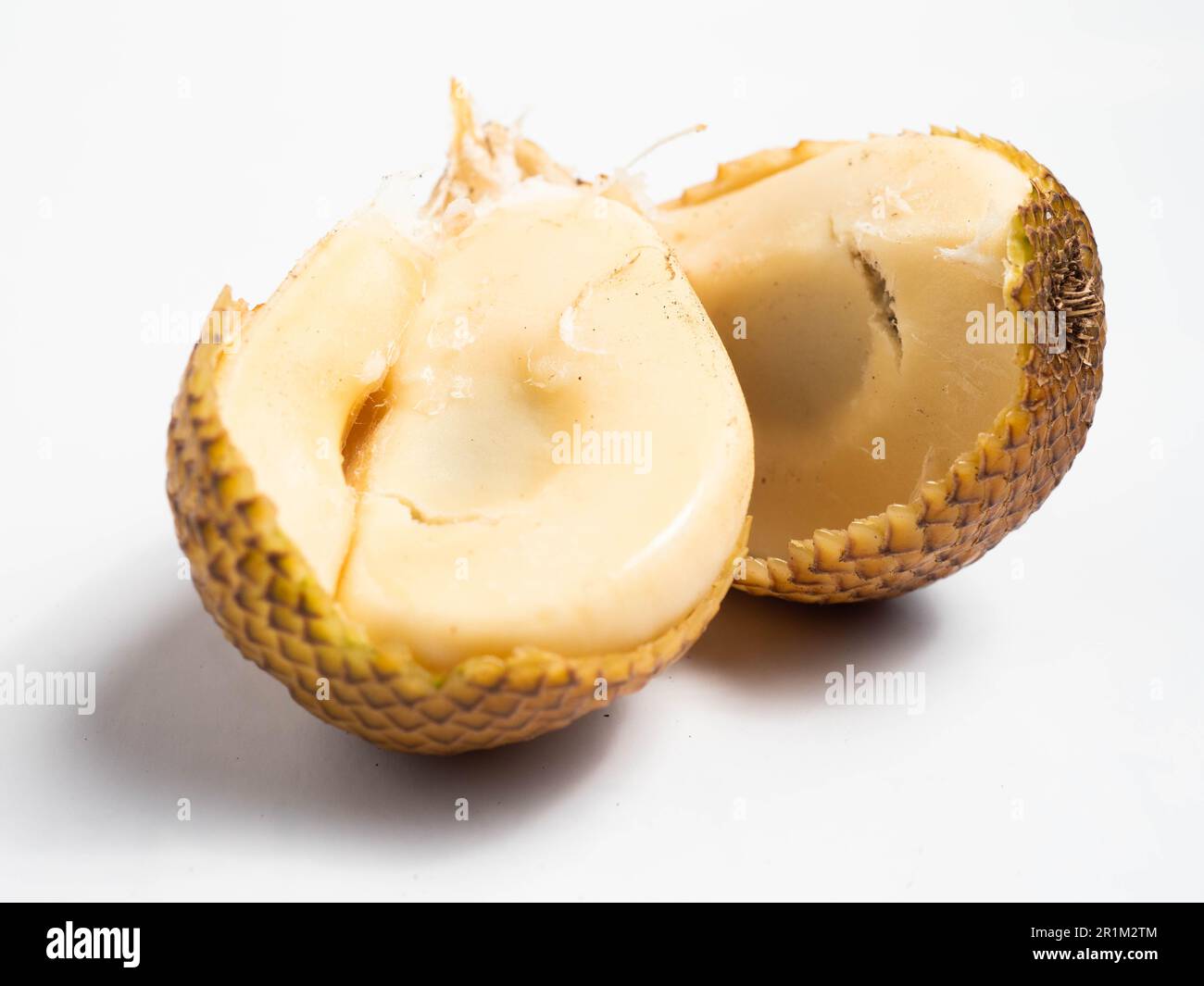 Picture of Salak (Salacca zalacca) is a species of palm tree (family ...