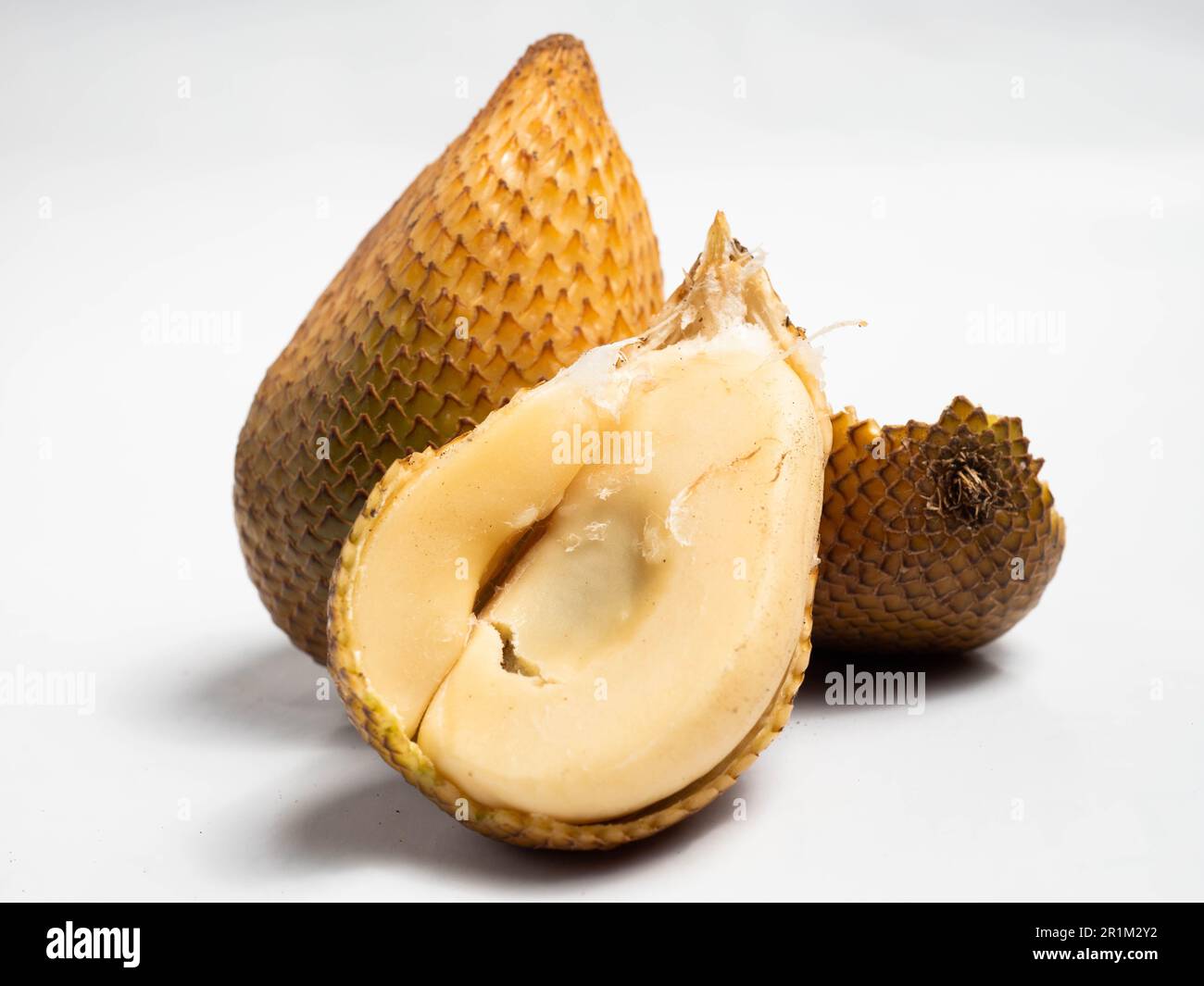 Picture of Salak (Salacca zalacca) is a species of palm tree (family ...