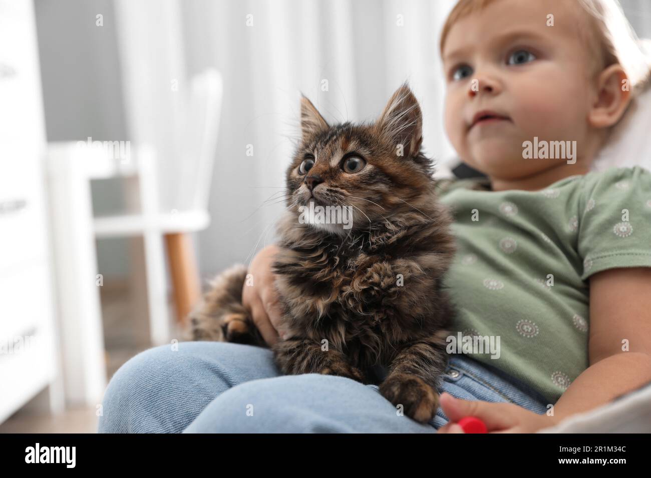 Cute little child with adorable pet sitting in armchair at home Stock ...
