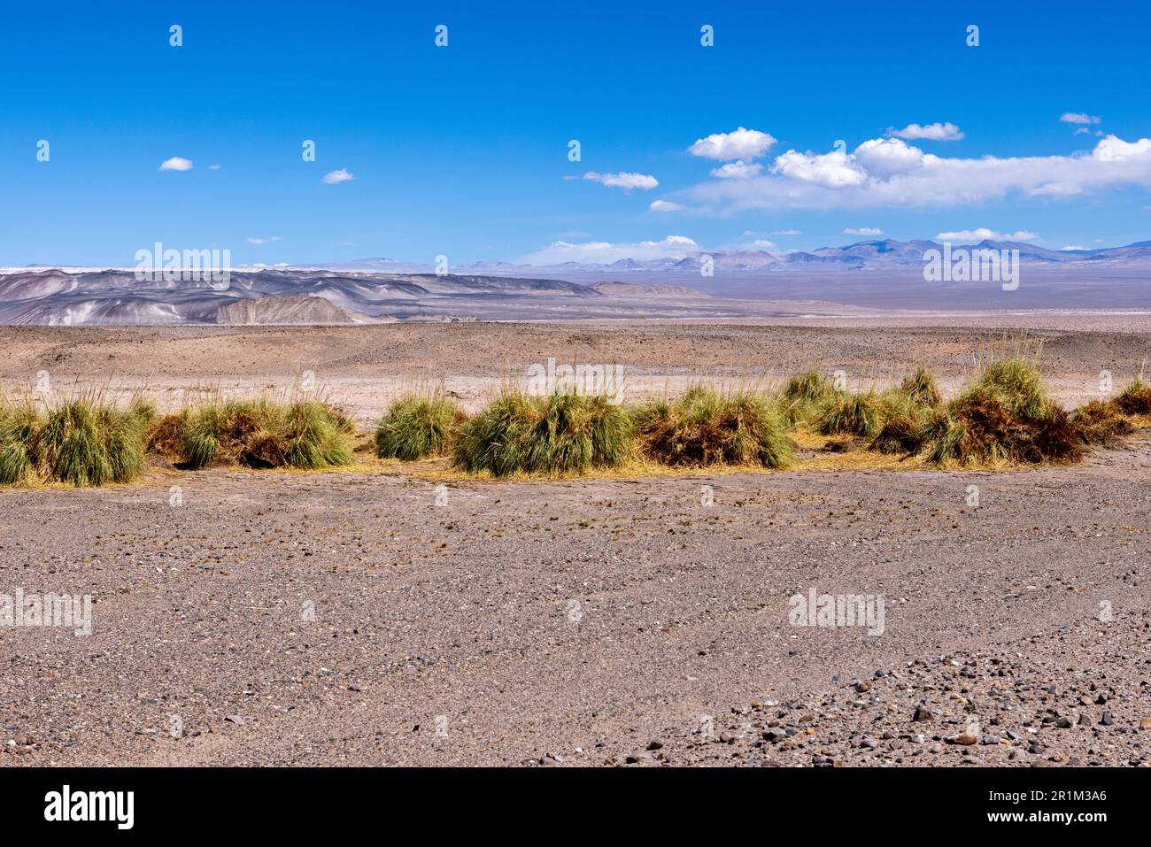 Puna - off road adventure through a bizarre but beautiful landscape ...