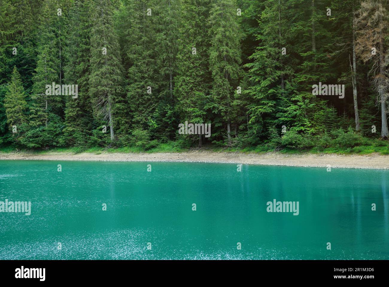 Picturesque view of clear lake near forest Stock Photo - Alamy