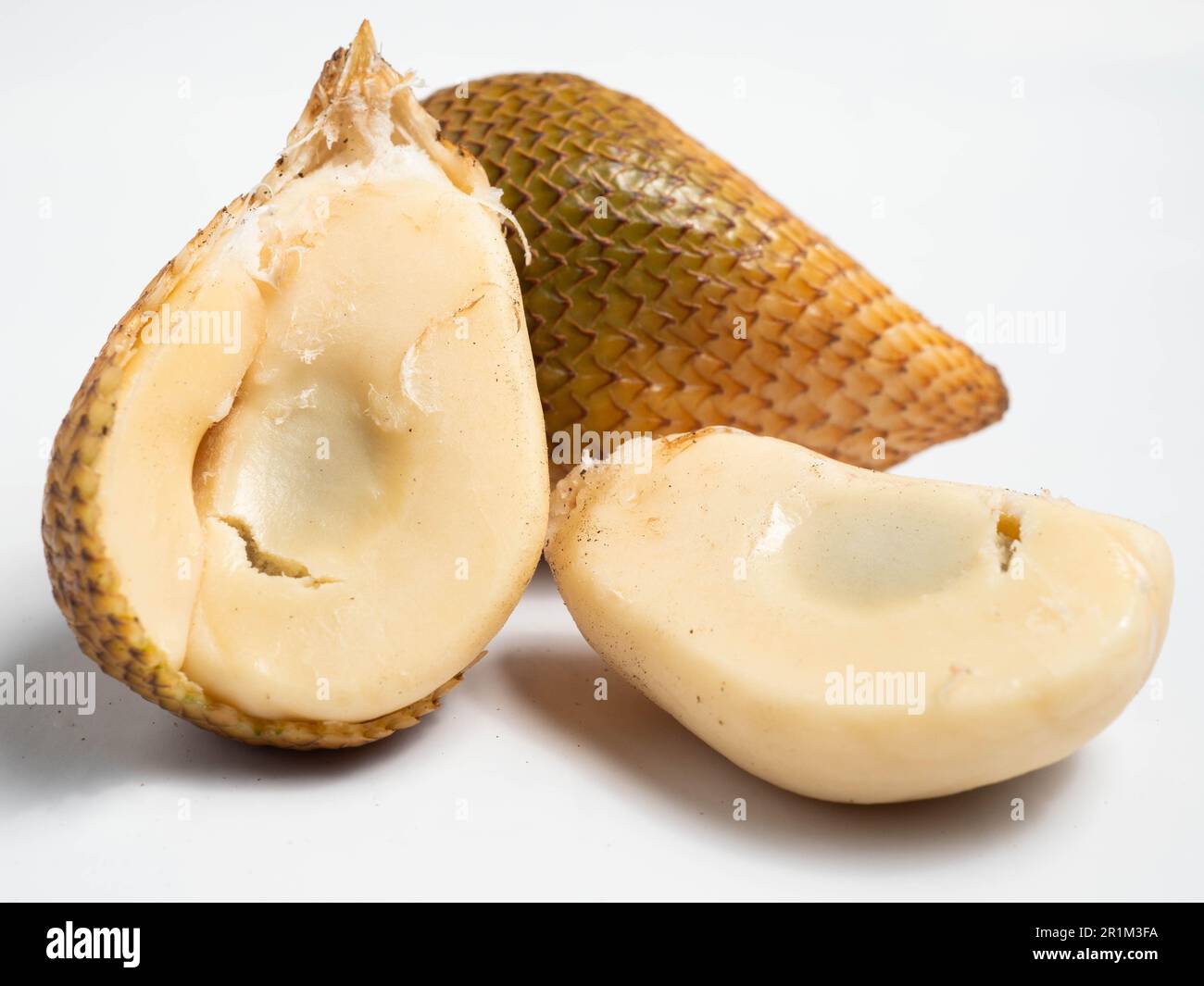 Picture of Salak (Salacca zalacca) is a species of palm tree (family ...