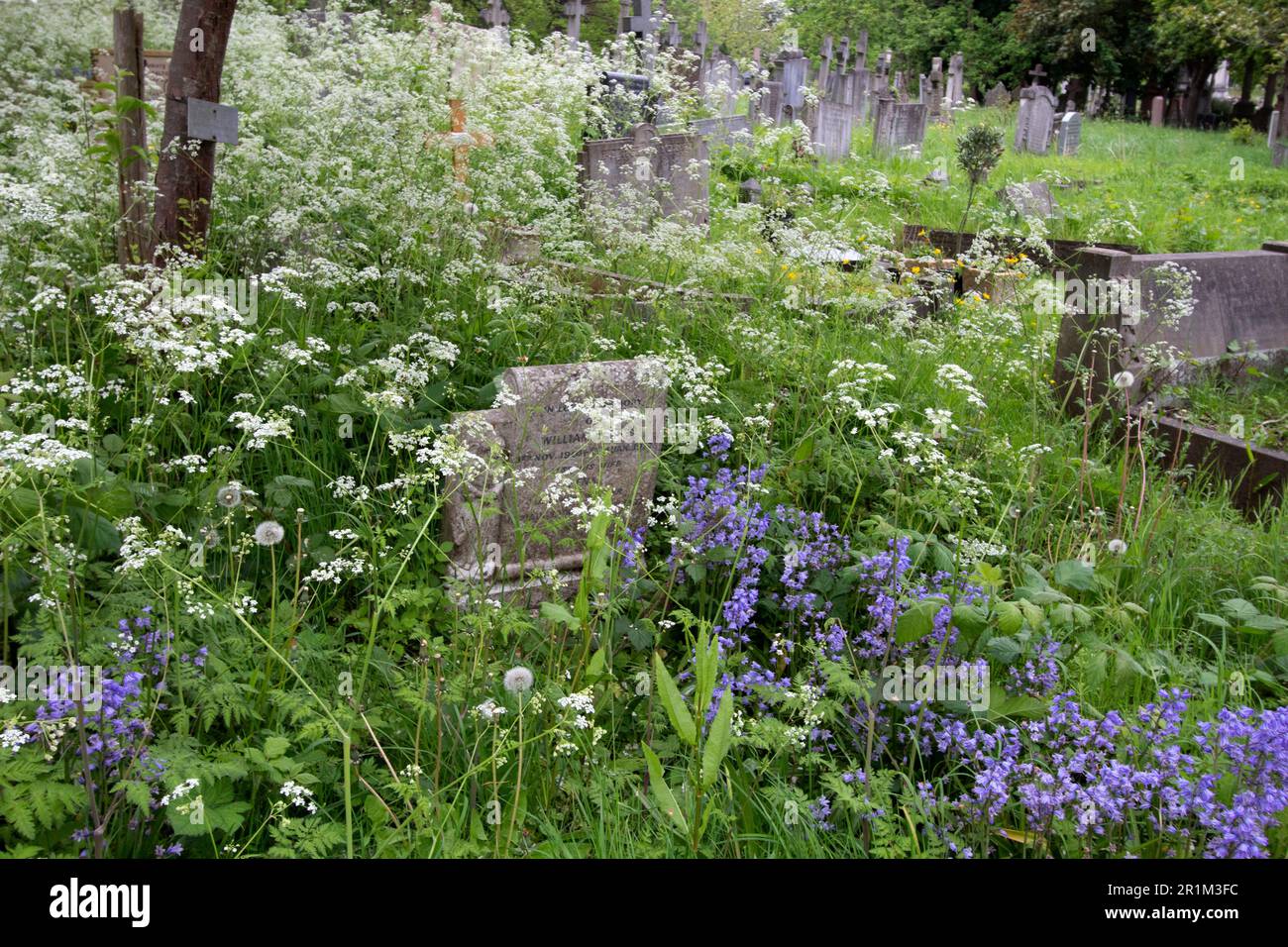 West Norwood Cemetery, one of London's 'Magnificent Seven' cemeteries ...