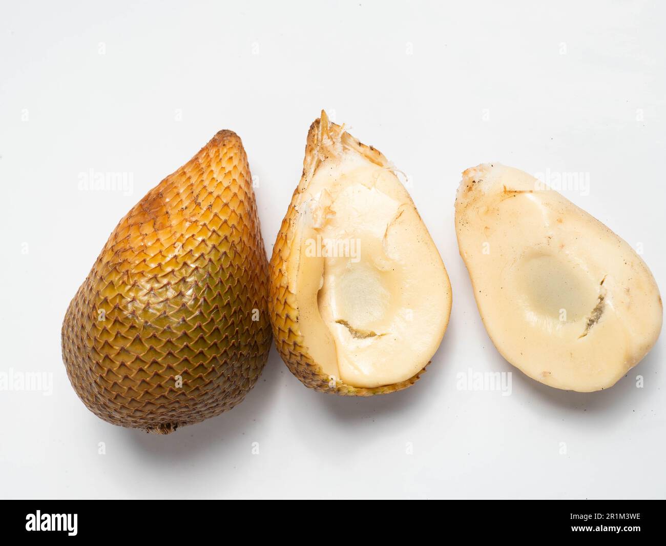 Picture of Salak (Salacca zalacca) is a species of palm tree (family ...