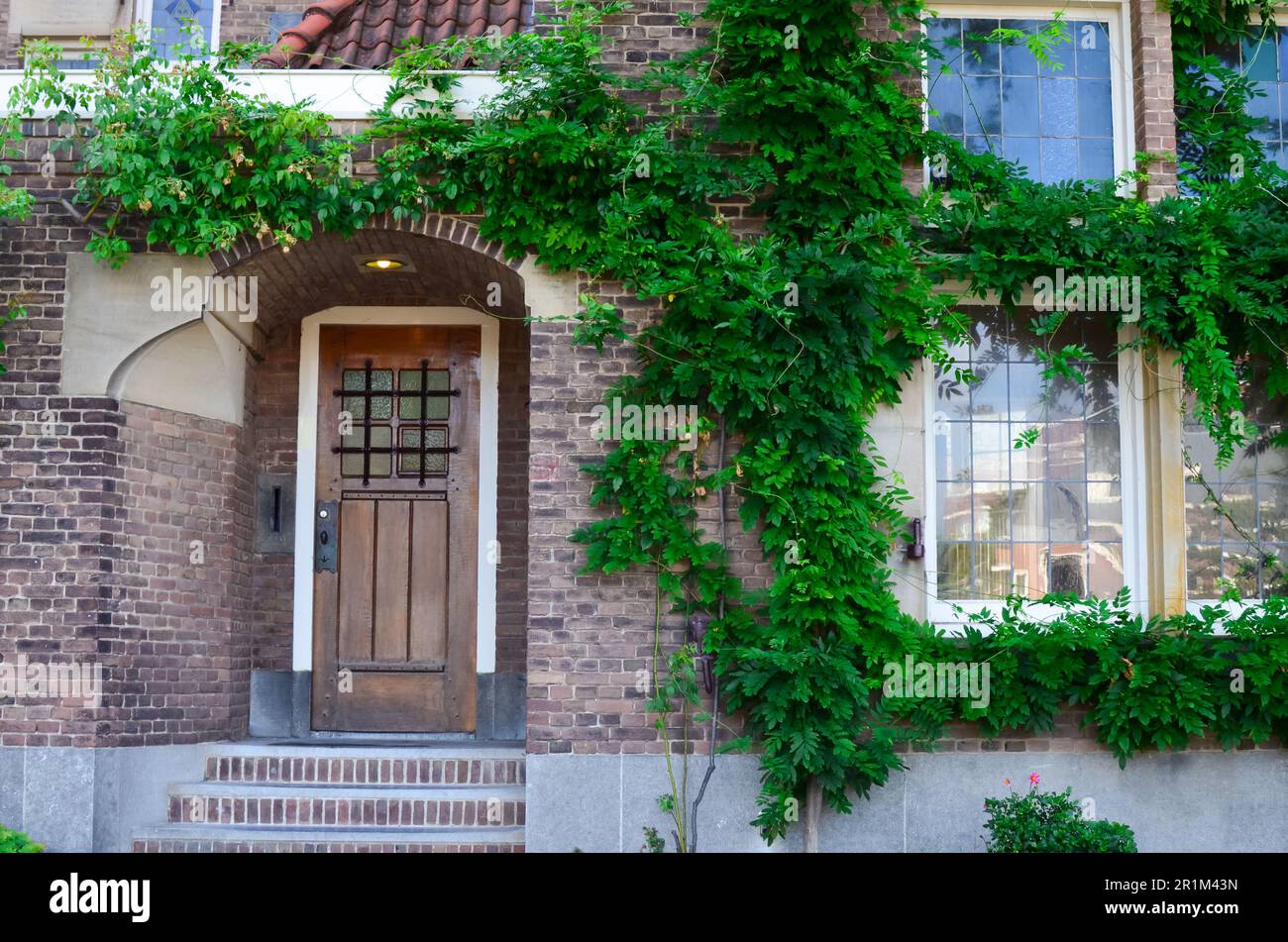 Brick building overgrown with green creeper plant outdoors Stock Photo ...