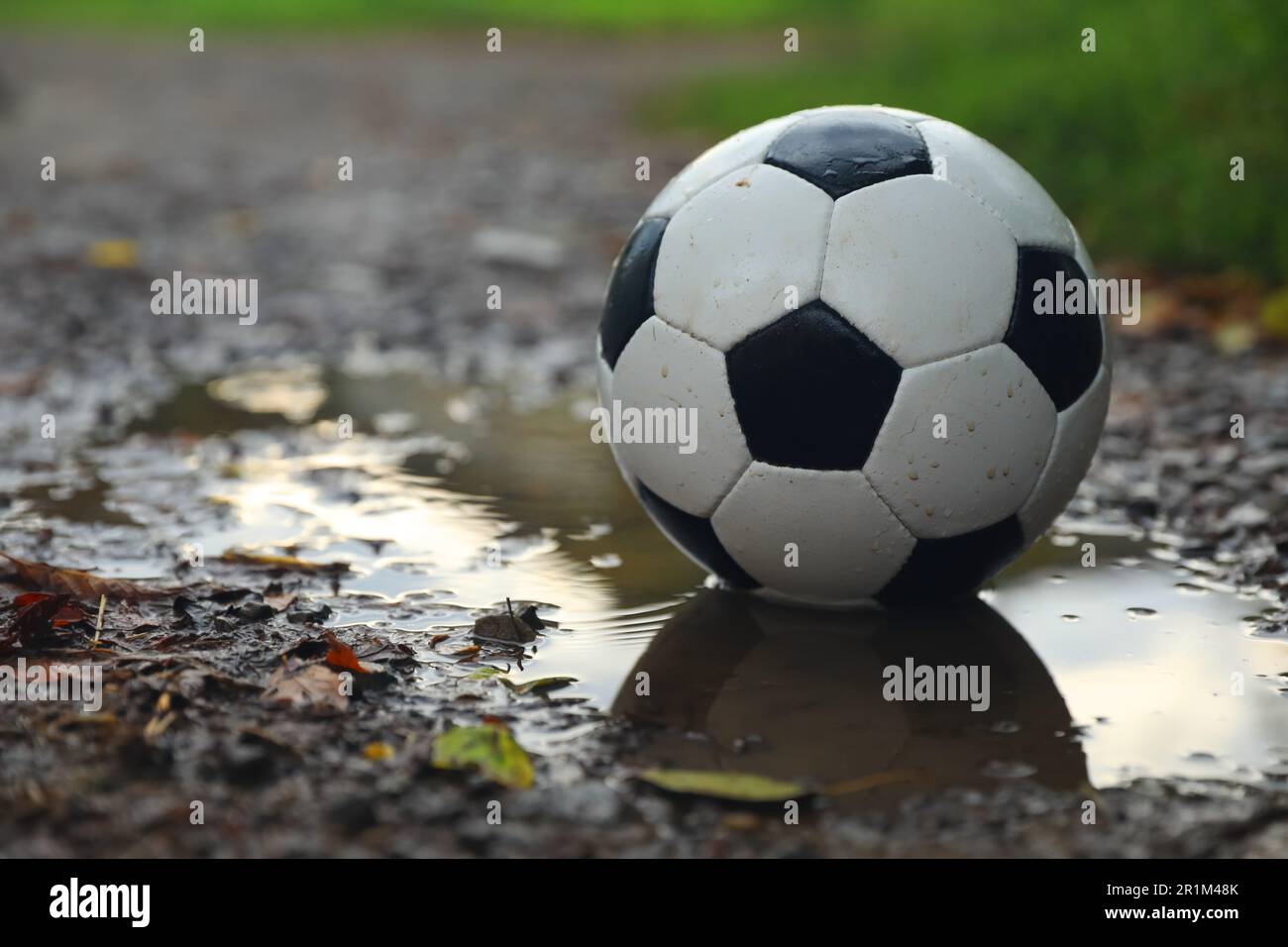 Leather soccer ball in puddle outdoors, space for text Stock Photo - Alamy