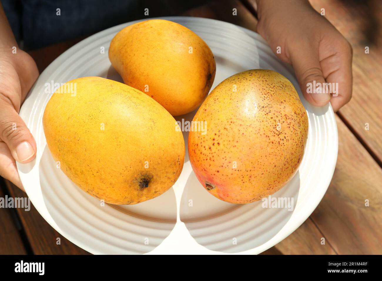 Hands holding mangoes hi-res stock photography and images - Alamy