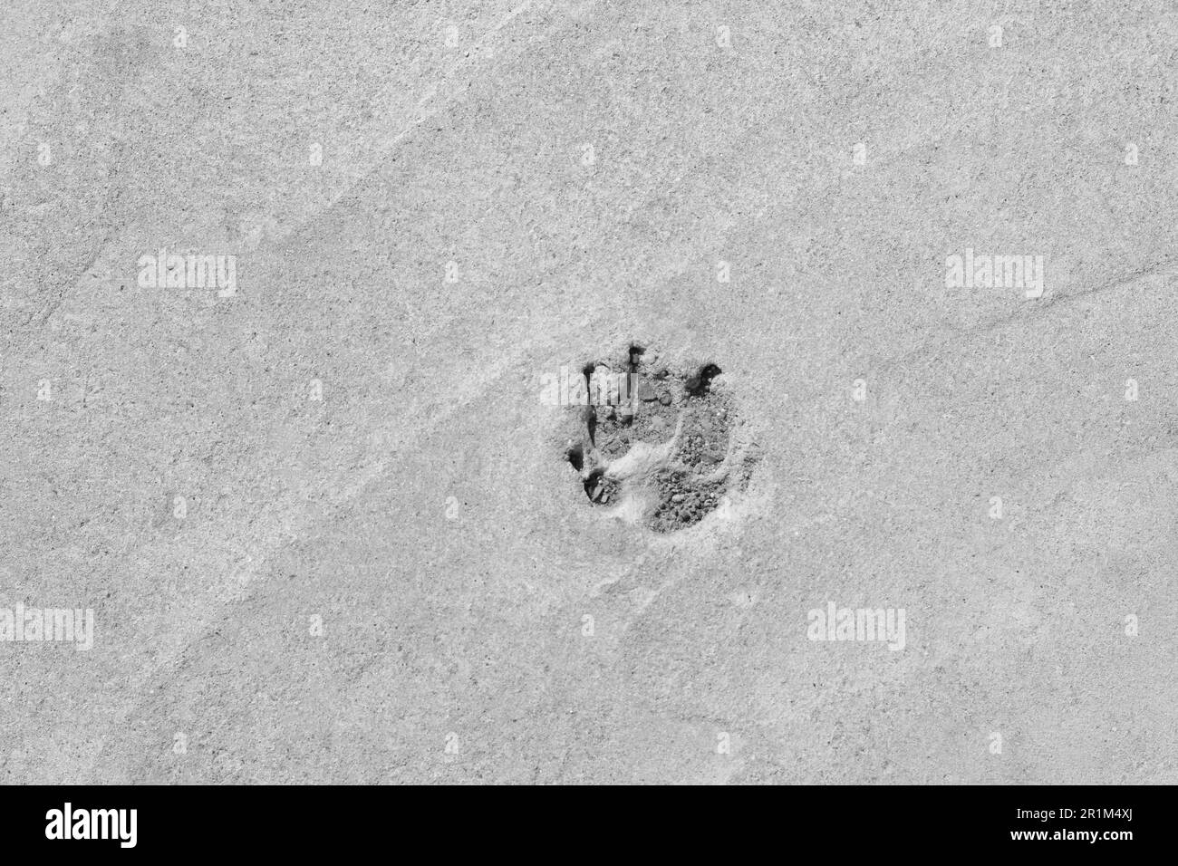 Walk and text Black and White Stock Photos & Images - Alamy