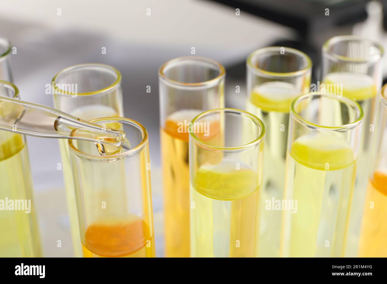 Dropping urine sample for analysis into tube, closeup Stock Photo - Alamy