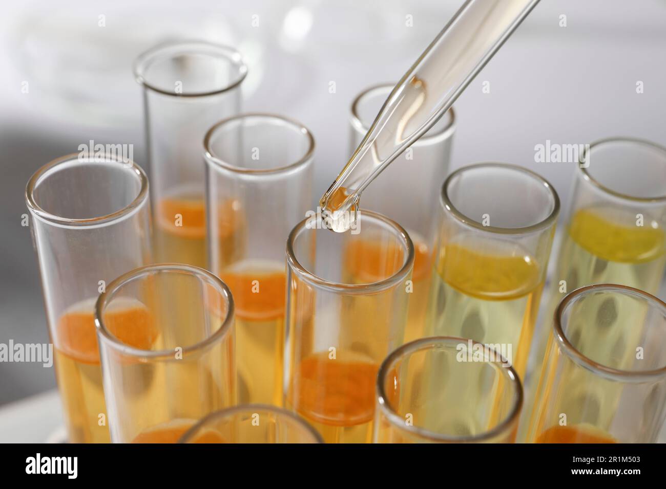 Dropping urine sample for analysis into tube, closeup Stock Photo - Alamy