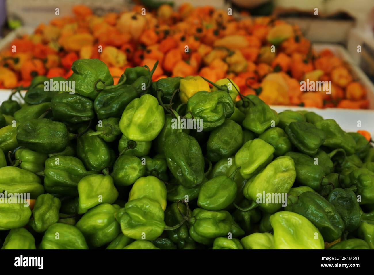 Chile cascabel hi-res stock photography and images - Alamy