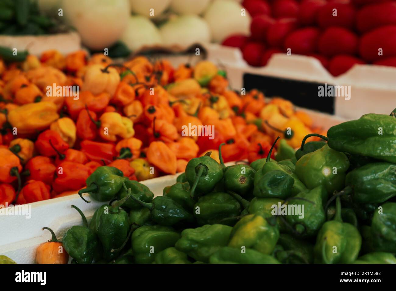 Cascabel hi-res stock photography and images - Alamy