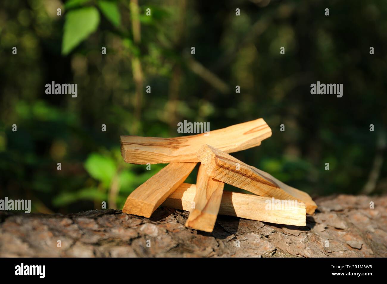 Palo santo sticks on tree bark outdoors Stock Photo - Alamy