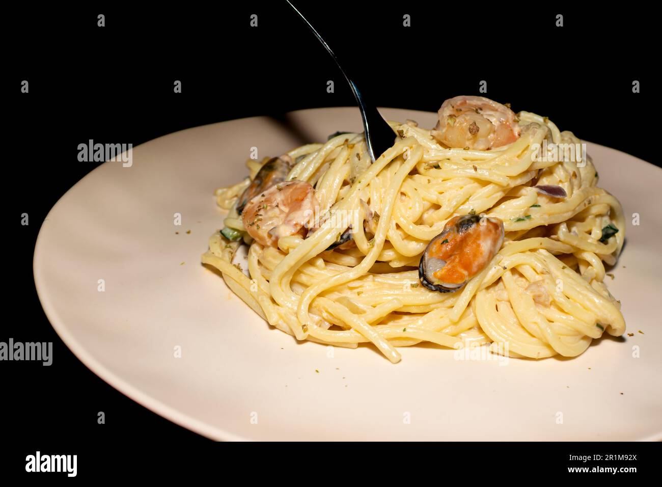 Shell fusion hi-res stock photography and images - Alamy