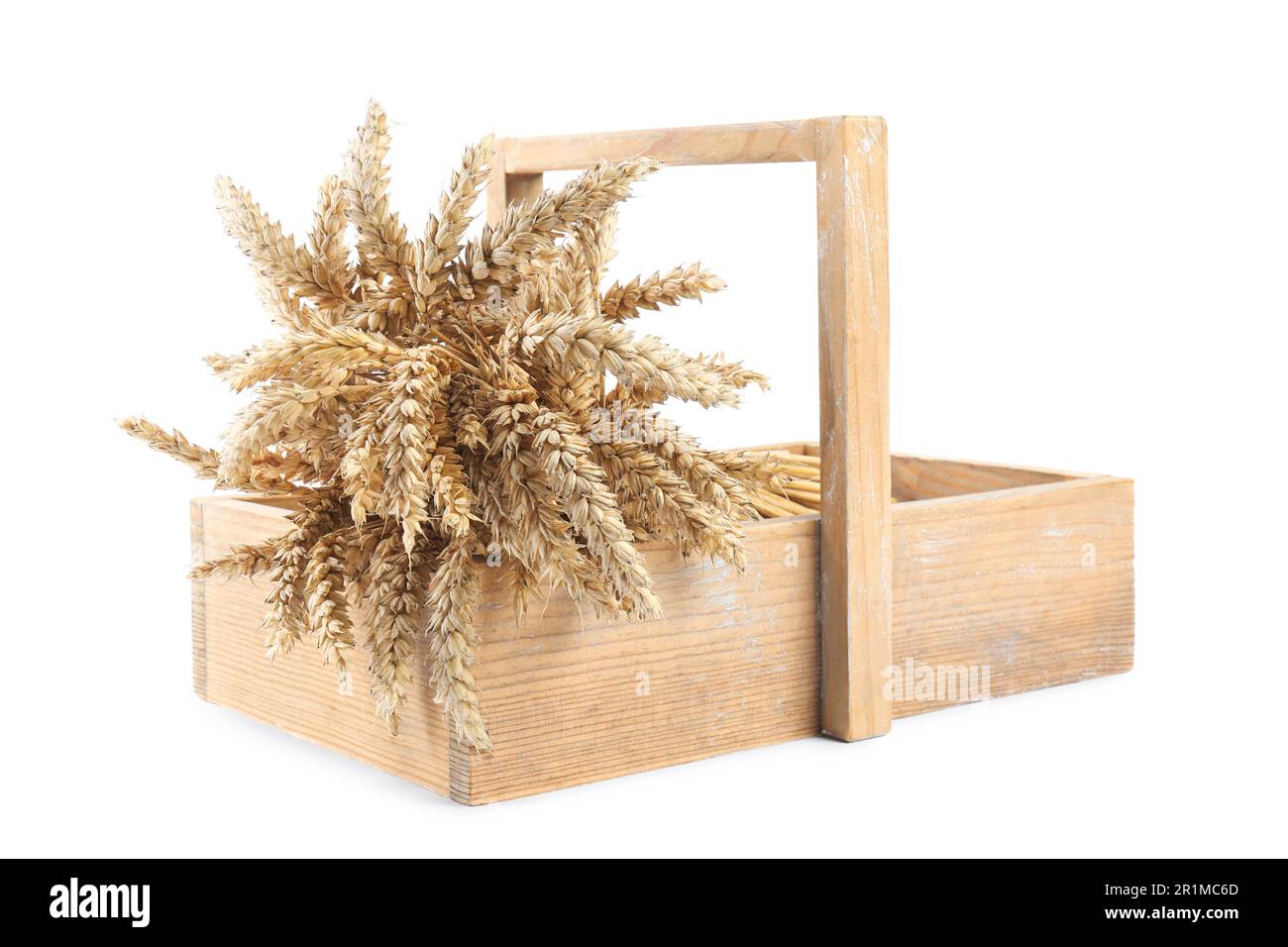 Many dried wheat in wooden crate on white background Stock Photo - Alamy