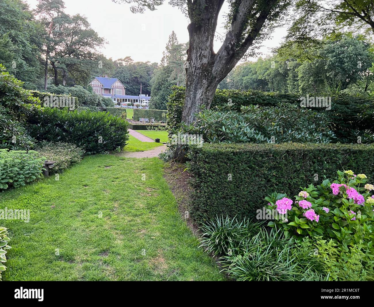 View of park with beautiful plants. Landscape design Stock Photo - Alamy