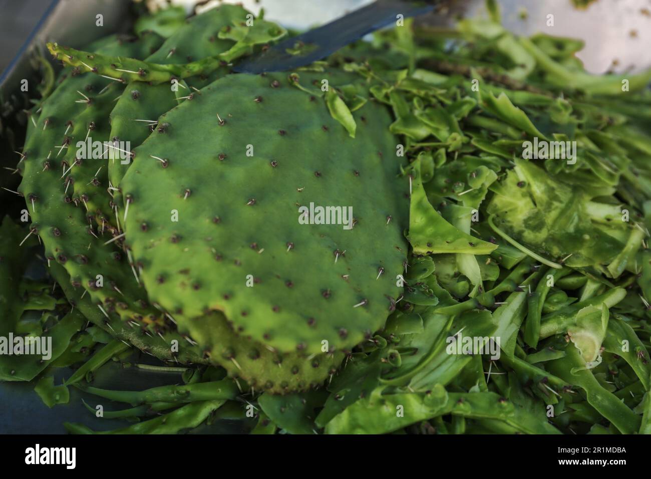 Nopal cactus leaves food hi-res stock photography and images - Alamy
