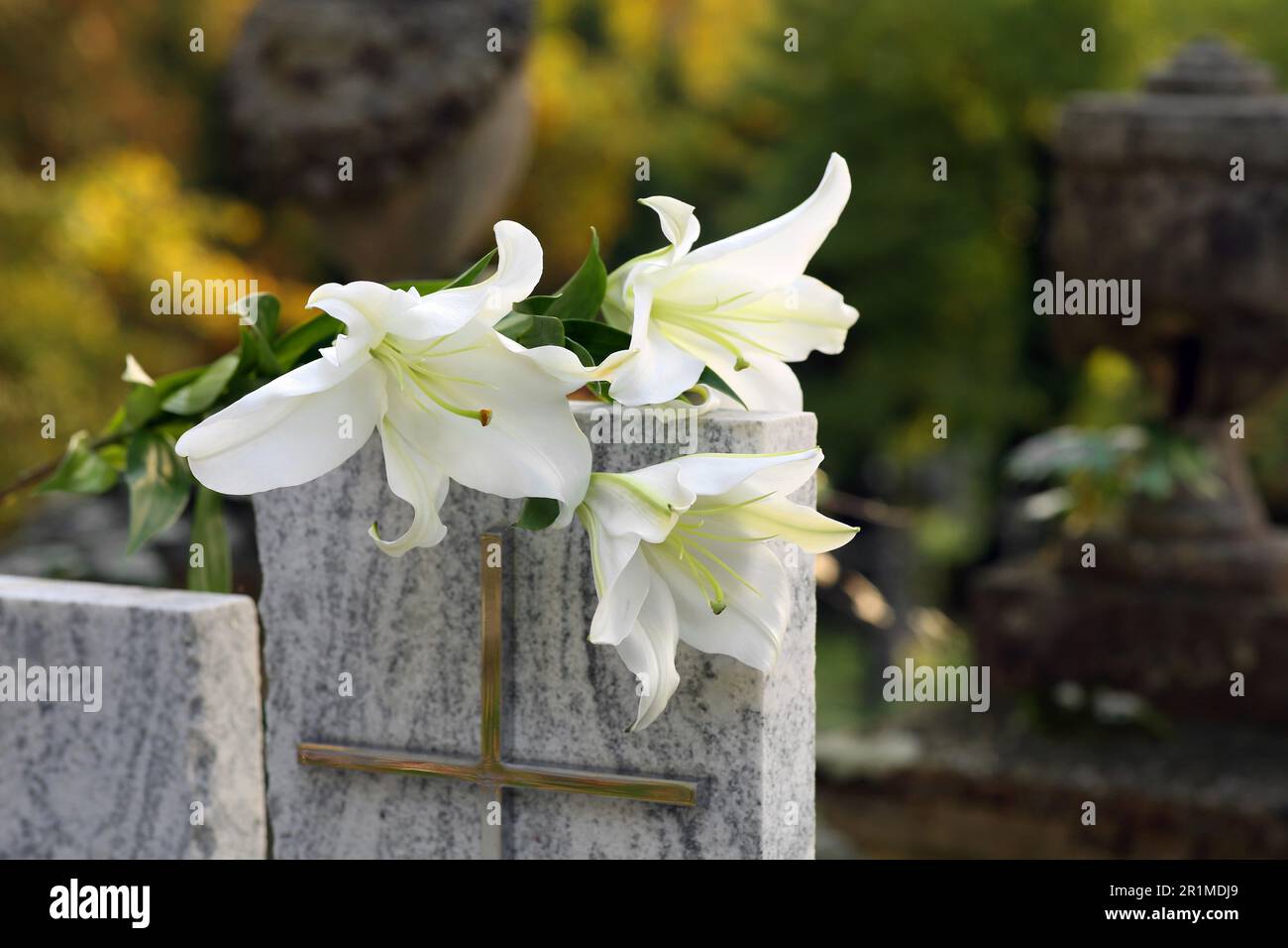 White lilies on granite tombstone outdoors, space for text. Funeral ceremony Stock Photo - Alamy