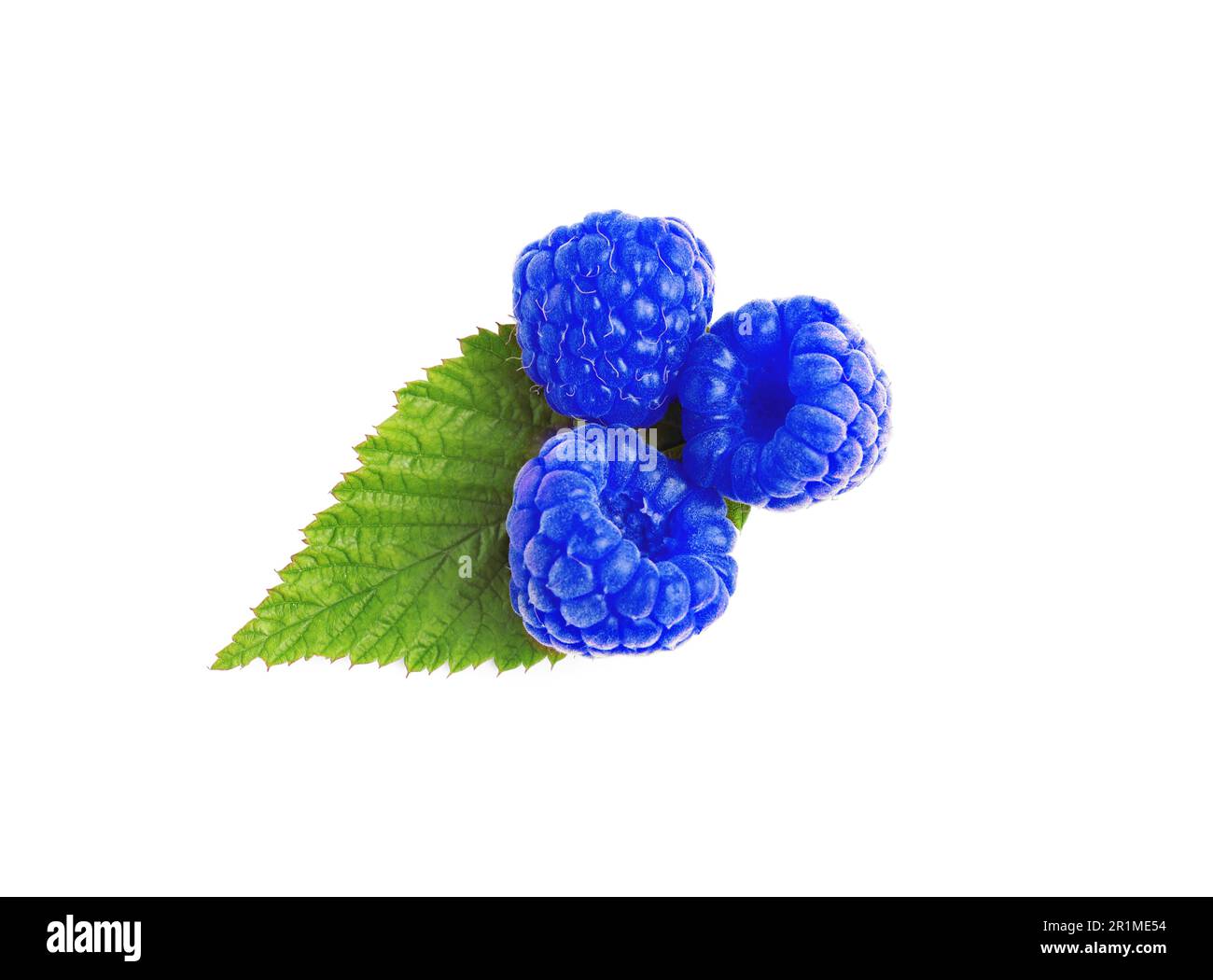 Fresh tasty blue raspberries isolated on white Stock Photo - Alamy