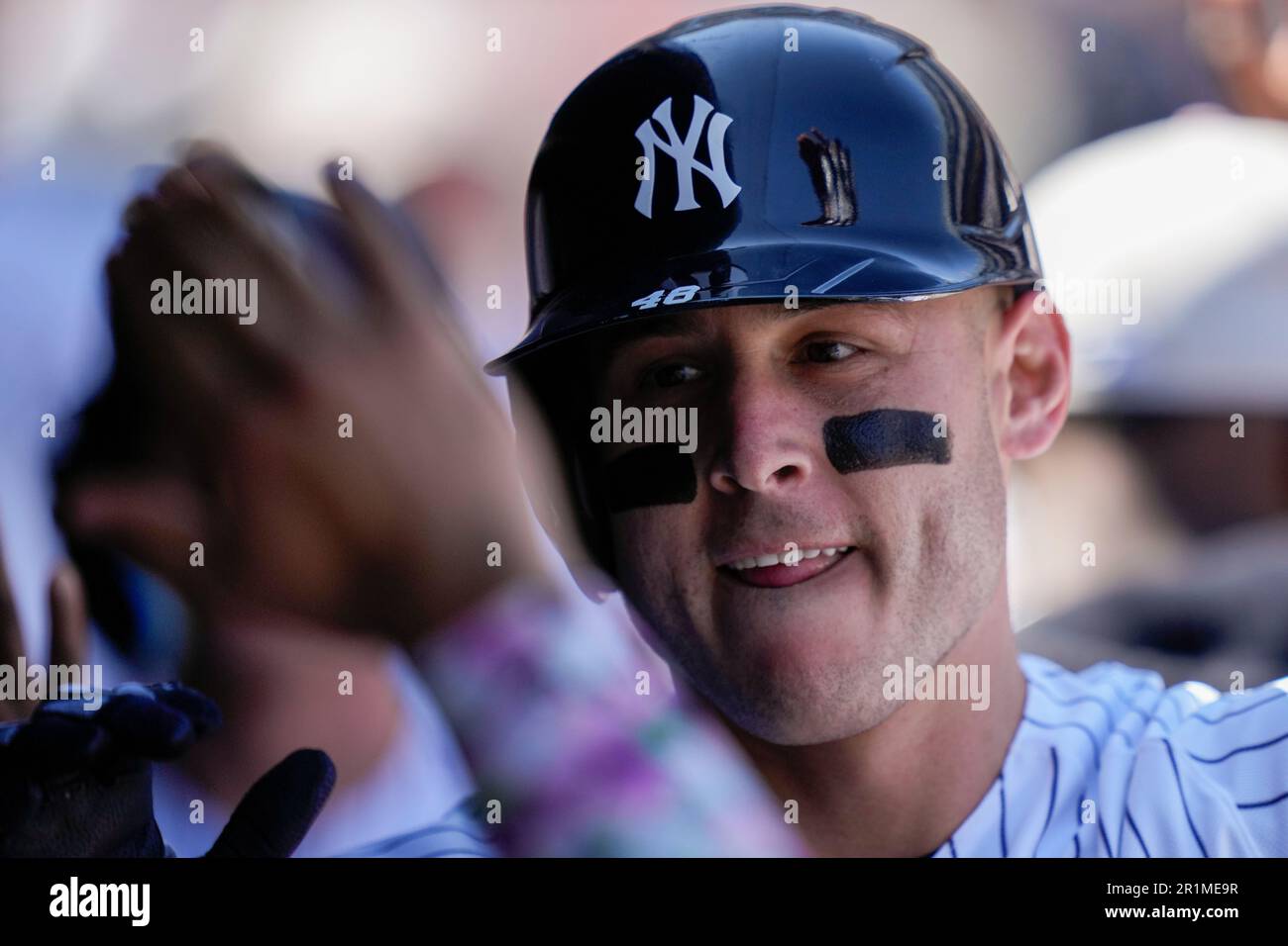 New York Yankees' Anthony Rizzo celebrates in the dugout after hitting ...