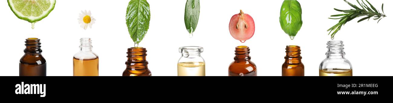 Set with different natural essential oils on white background. Banner ...