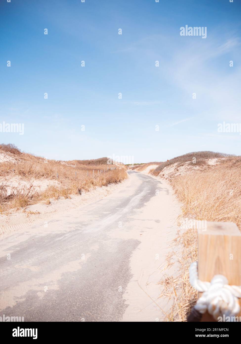 A paved pathway making its way through the sand dunes next to the ocean ...