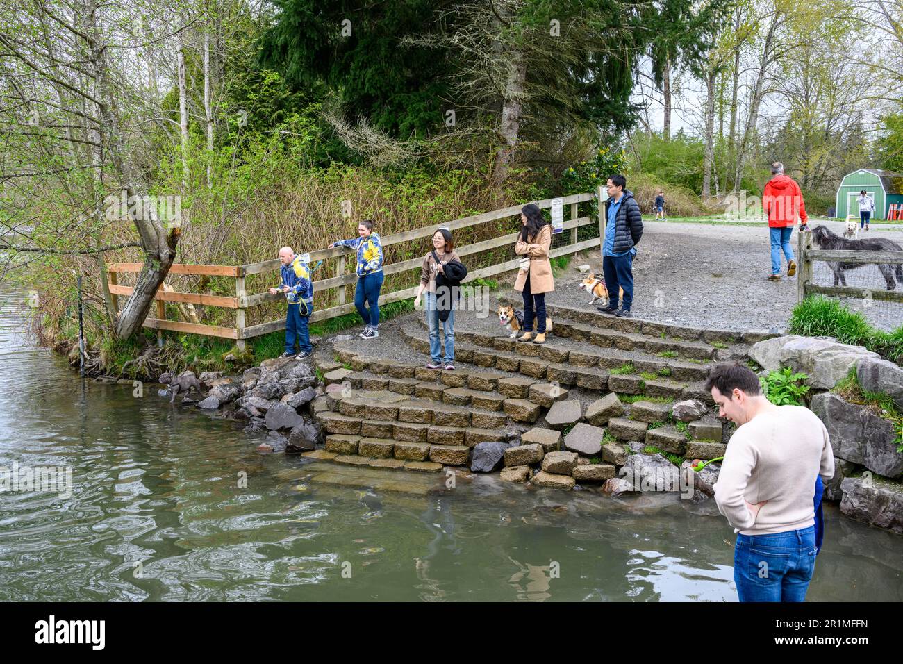 REDMOND, WA, USA – APRIL 2, 2023: Marymoor Park dog park, variety of ...