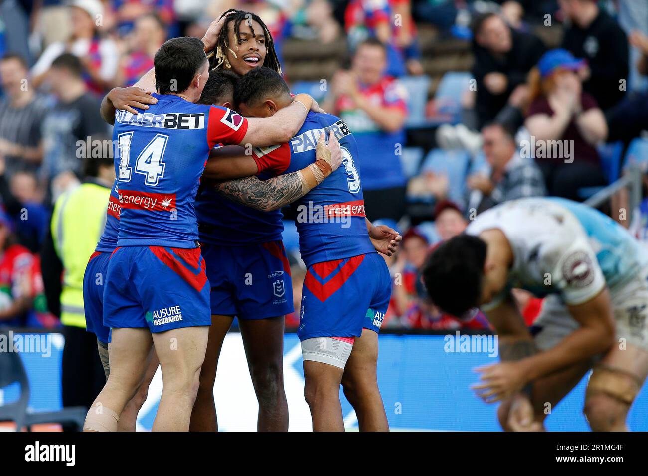 Dominic Young of the Knights celebrates scoring a try during the NRL ...