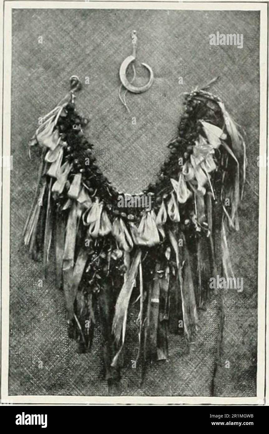 SlSl AND BOARS TUSK PENDANT Stock Photo - Alamy